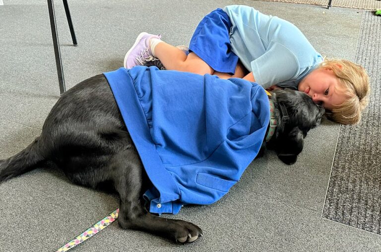 Benefits of Animal Assisted Therapy – Driven By You